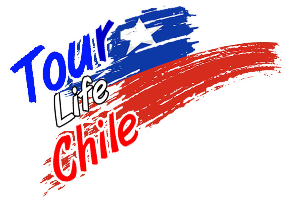 Buses y Van para servicios privados - Mejores precios 👈️